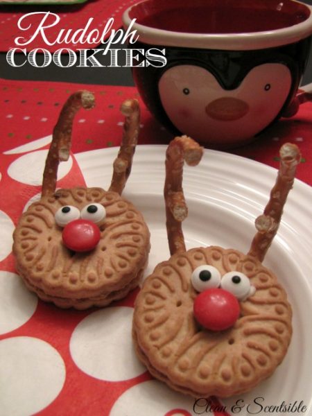 Quick & Easy Rudolph the Red Nosed Reindeer Dinner - Clean & Scentsible