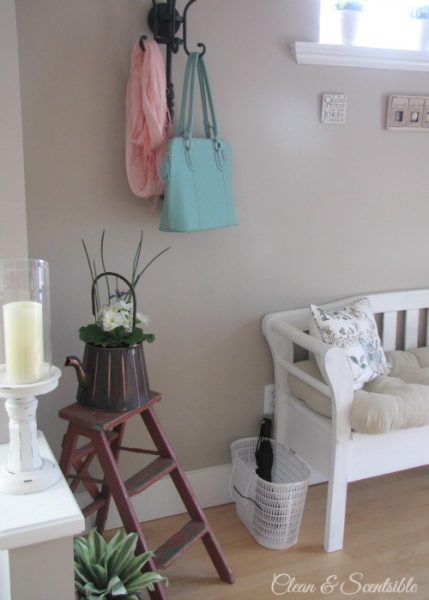 Front Entry Organization - Clean and Scentsible