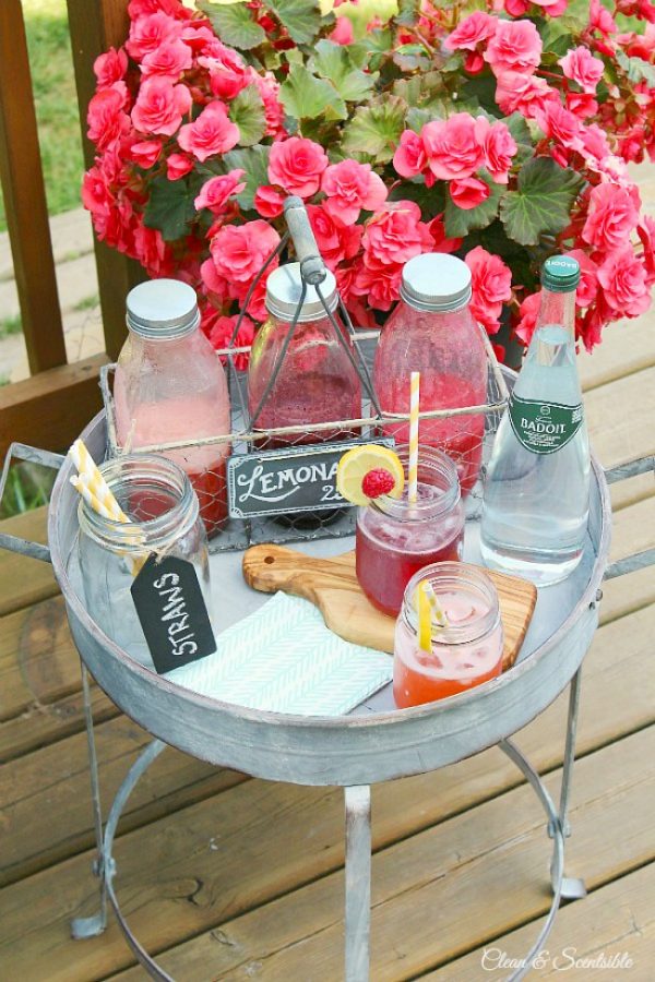 Flavored Lemonade Bar - Clean and Scentsible