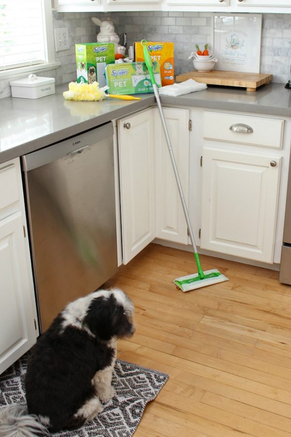 Pet Spring Cleaning Tips for Pet Owners - Clean and Scentsible