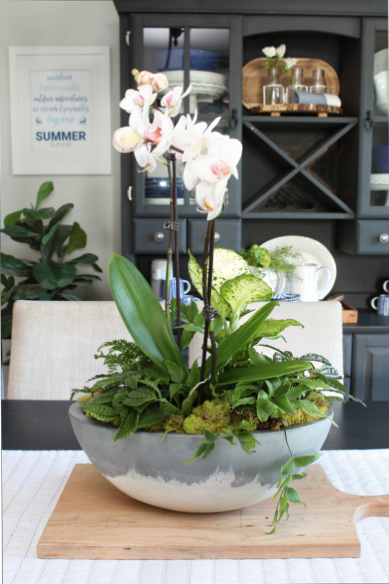 DIY Orchid Planter - Clean and Scentsible
