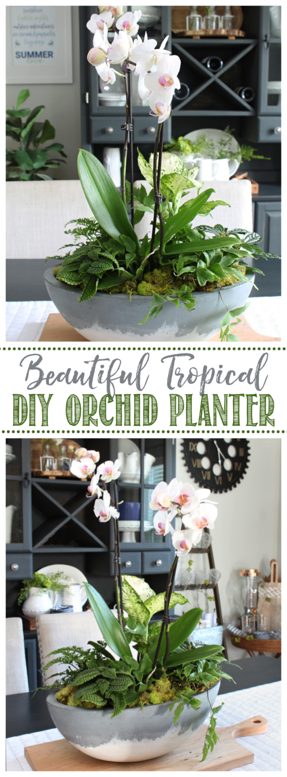 DIY Orchid Planter - Clean and Scentsible